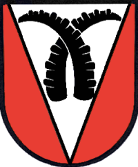 Anzeiger Interlaken - ANZEIGER INTERLAKEN – Gemeindepublikationen